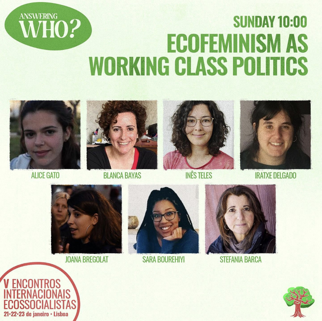 What is ecofeminism, and why is it necessary in the fight for climate ...